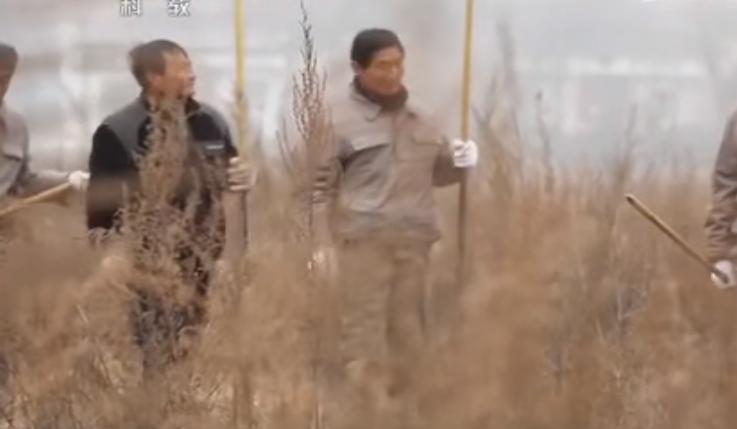 There are no crops growing in the strange fields in Shaanxi, and a ...