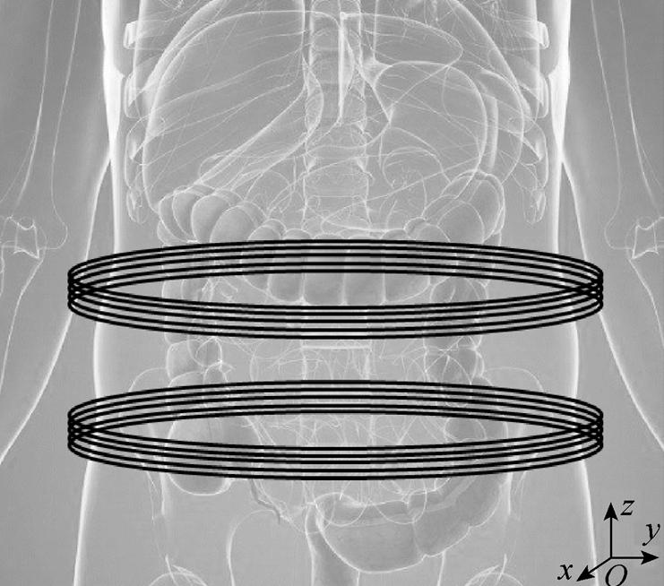 Experts from Huazhong University of Science and Technology have made ...