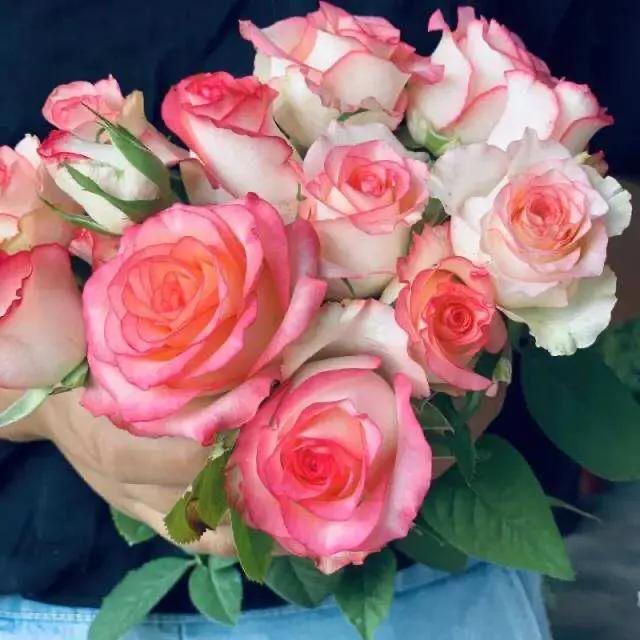 Slim Jumelia Rose - iNEWS
