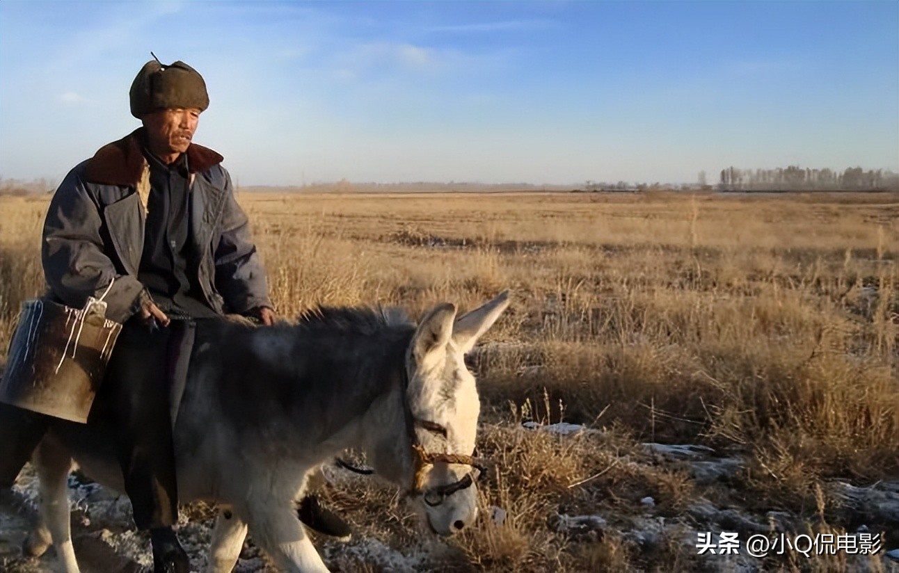 In addition to "Hidden in the Dust", Li Ruijun has also directed these ...