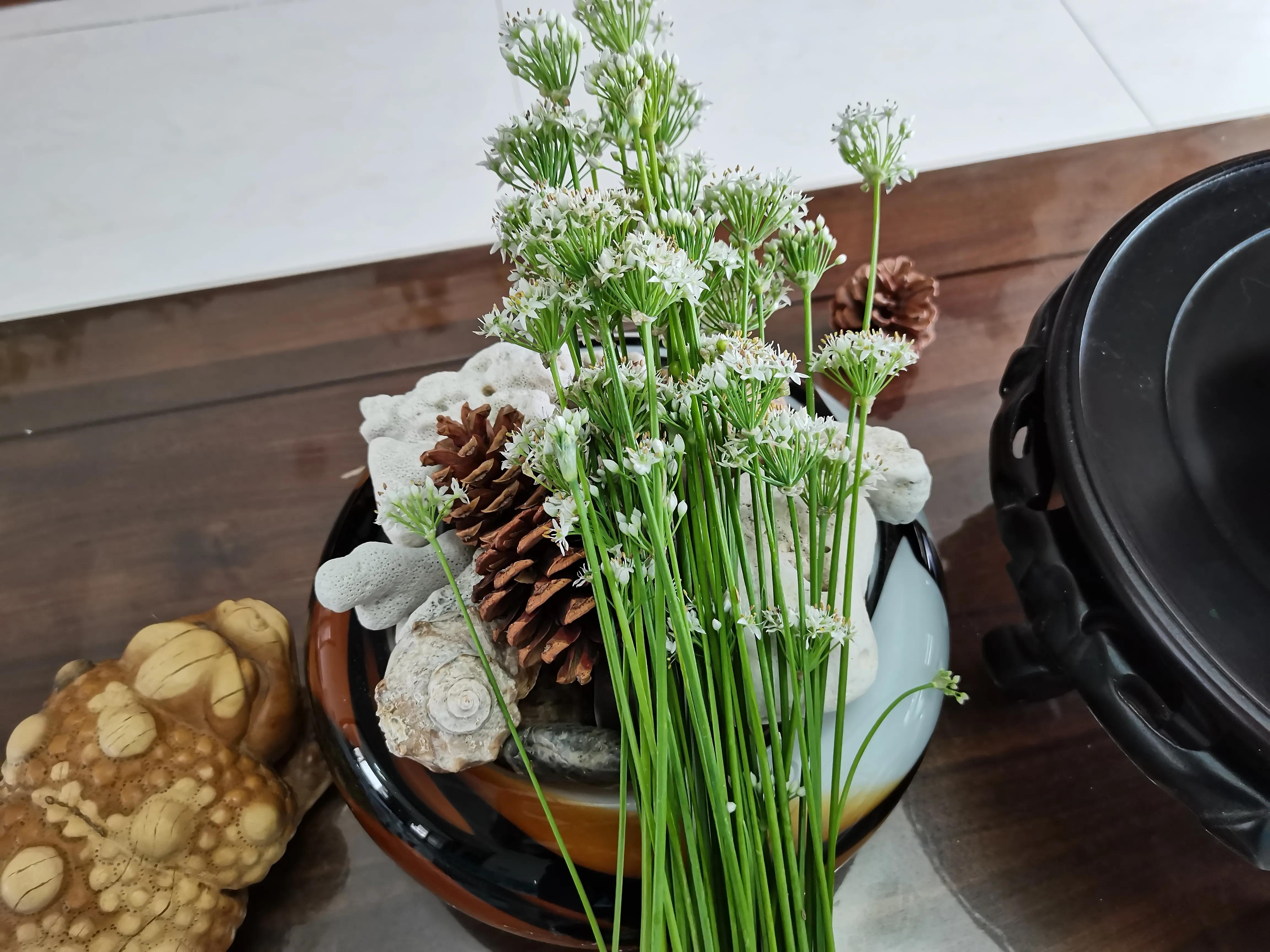 What is "good poetry"—I see poetry - iNEWS