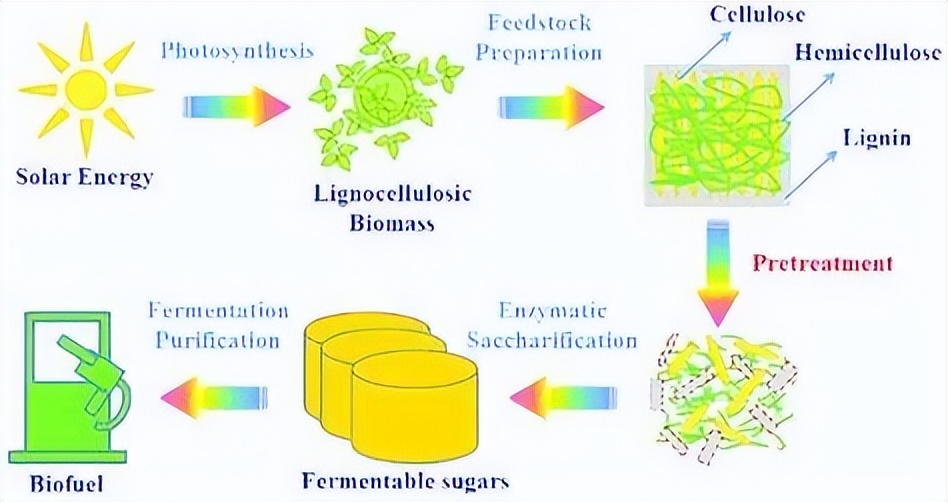 Biofuels in the Era of Synthetic Biology - iMedia