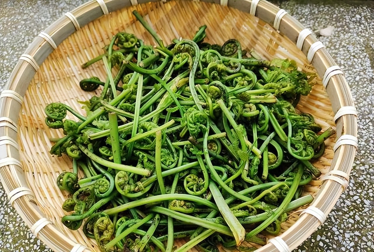 Is eating bracken harmful to health?Rumor: 3 kinds of wild vegetables ...