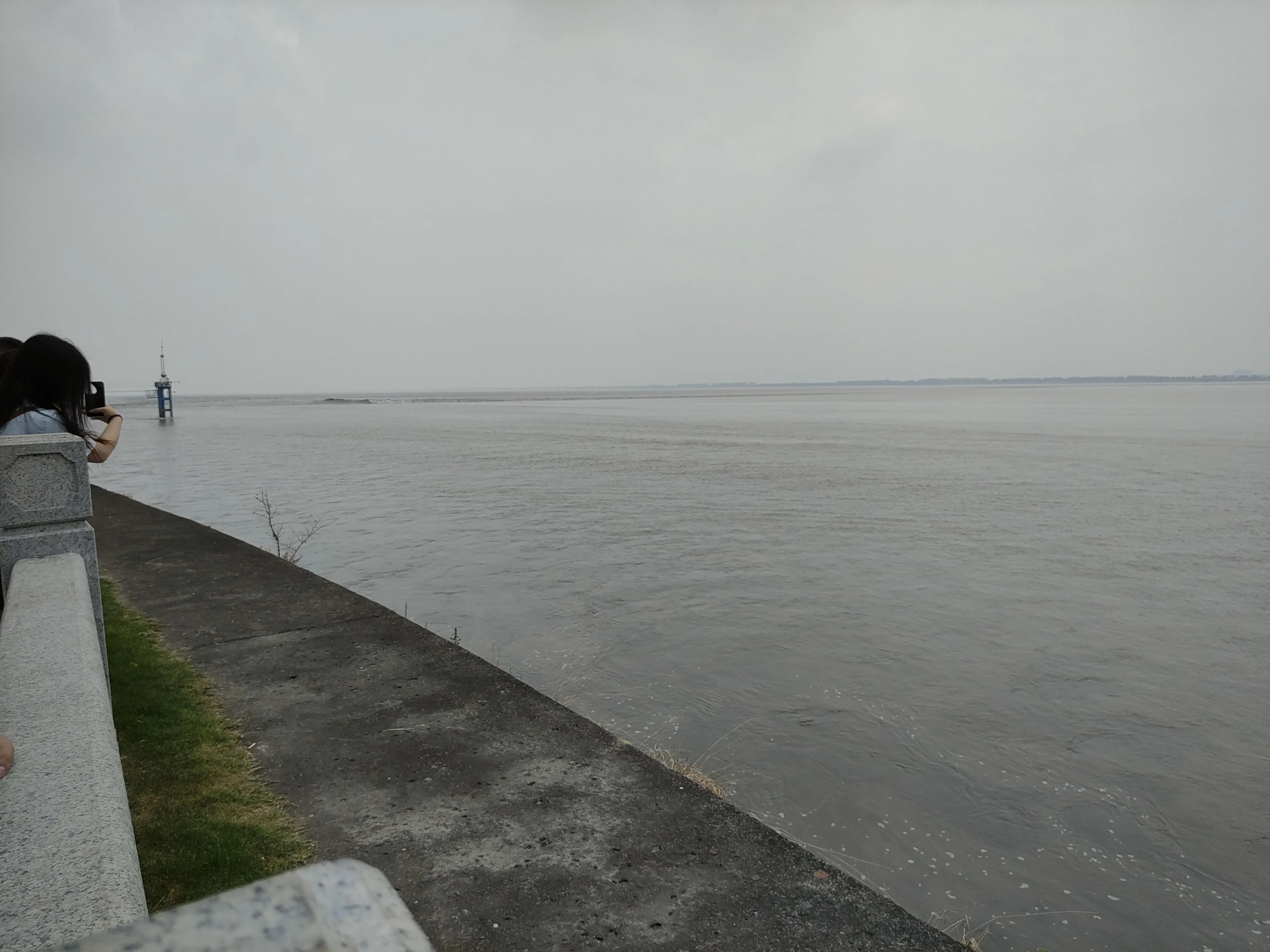 The tide-watching experience is like a thorn in the throat, reminding ...