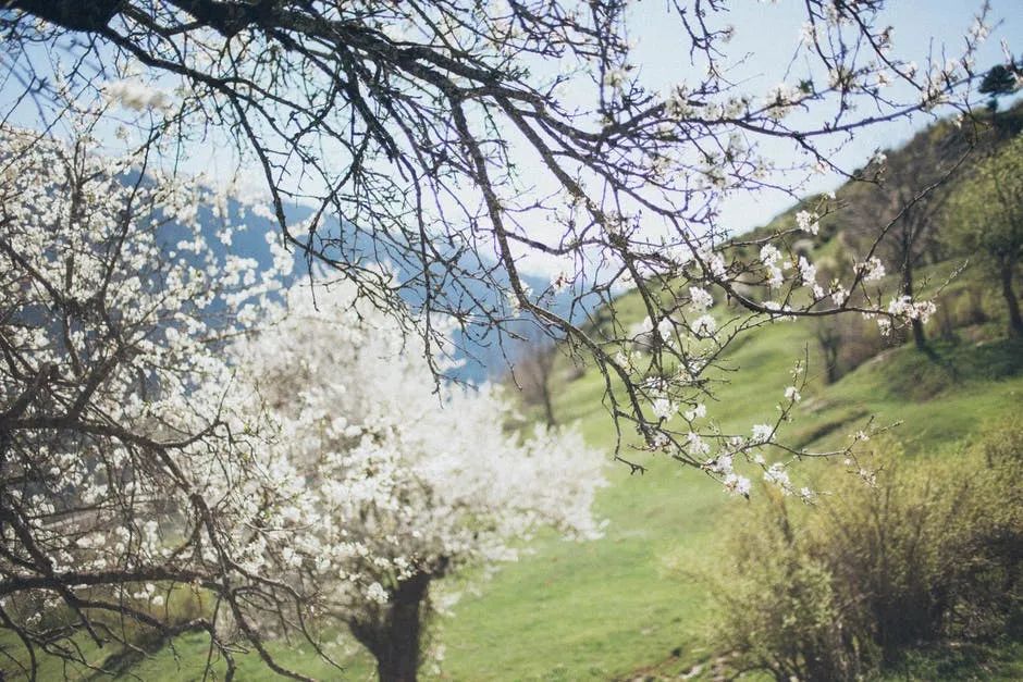 The spring is full of gardens and cannot be closed, and the years are ...
