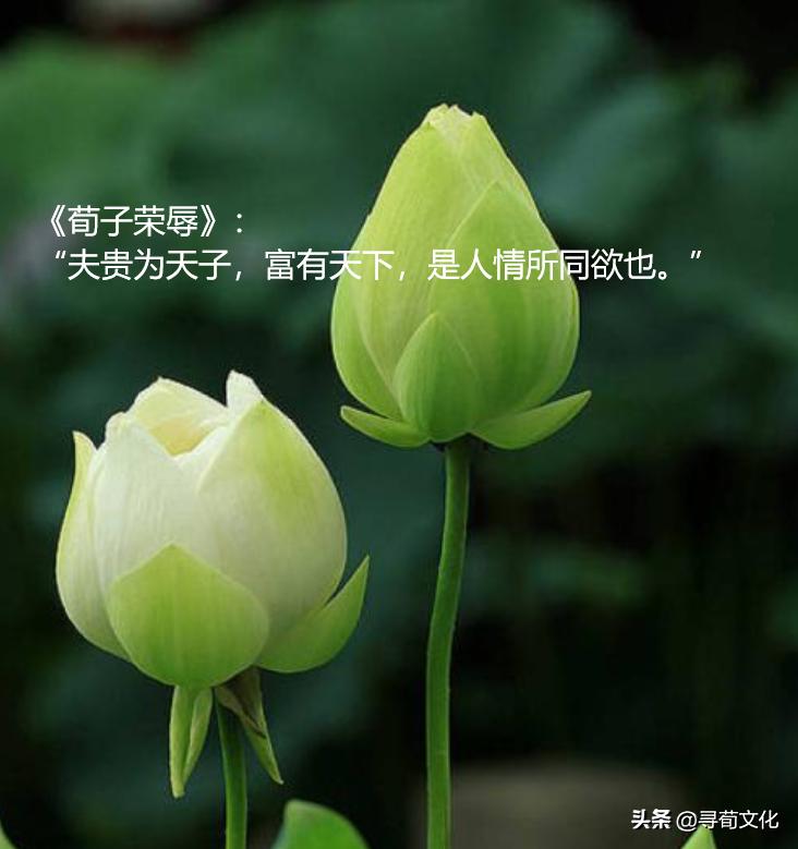 "Chinese Xun Surname" - Xun Fan (? AD 313) - iMedia