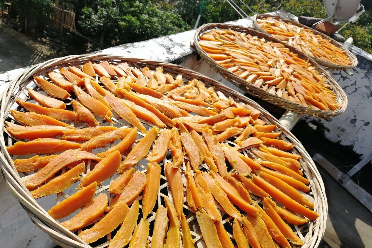 Dried sweet potatoes are easy to tan after cutting, grandma taught me 2 ...