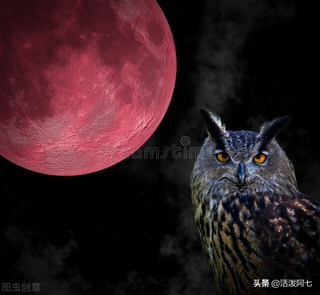Explore the World ~ Huge Humanoid Owl, Reaper Owl - iNEWS
