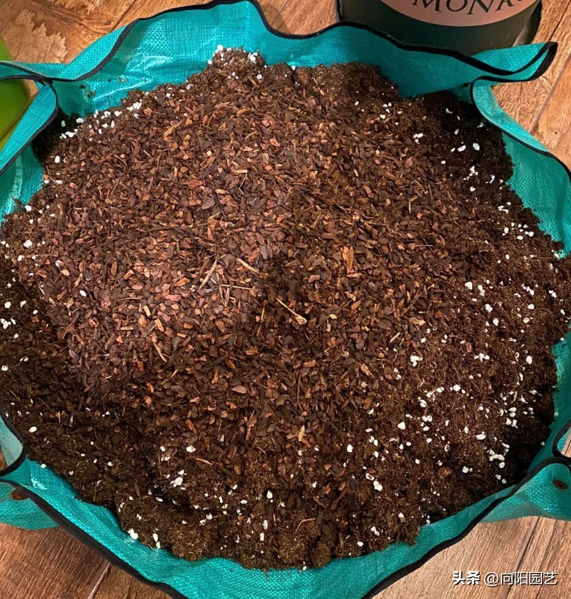 Is it okay to grow flowers in loess? Certainly not, the hardness is too ...