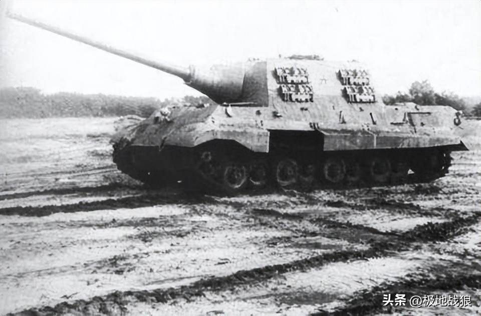 The tank destroyer with the most firepower in World War II: Tiger Tiger ...
