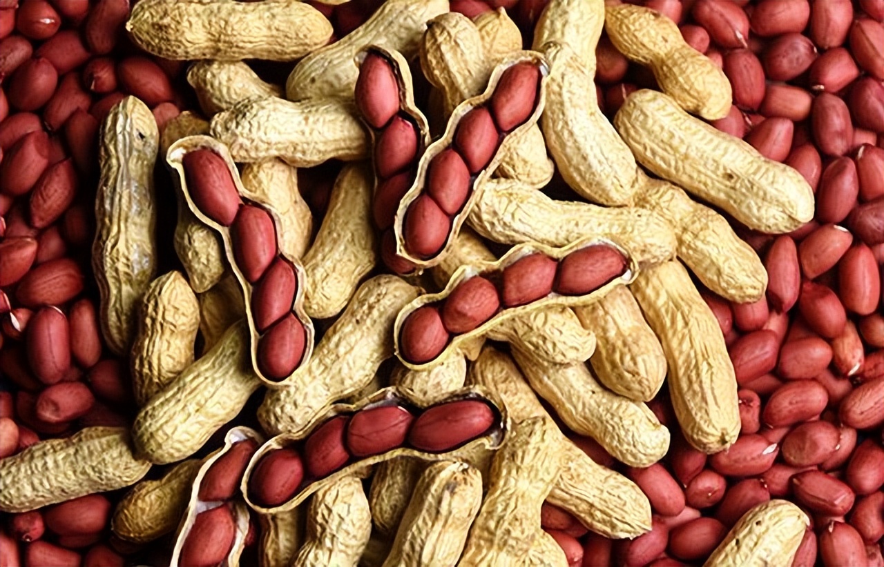 The courier insisted on eating "peanuts" to nourish his stomach. After ...