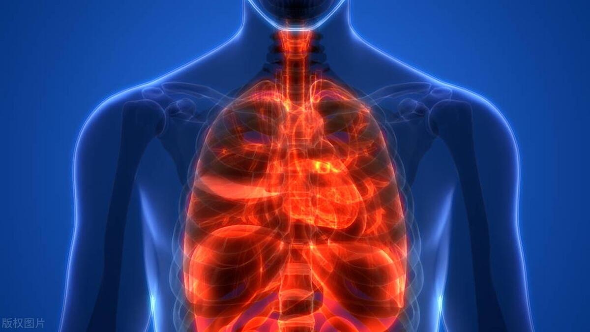 What are bullae? - iNEWS