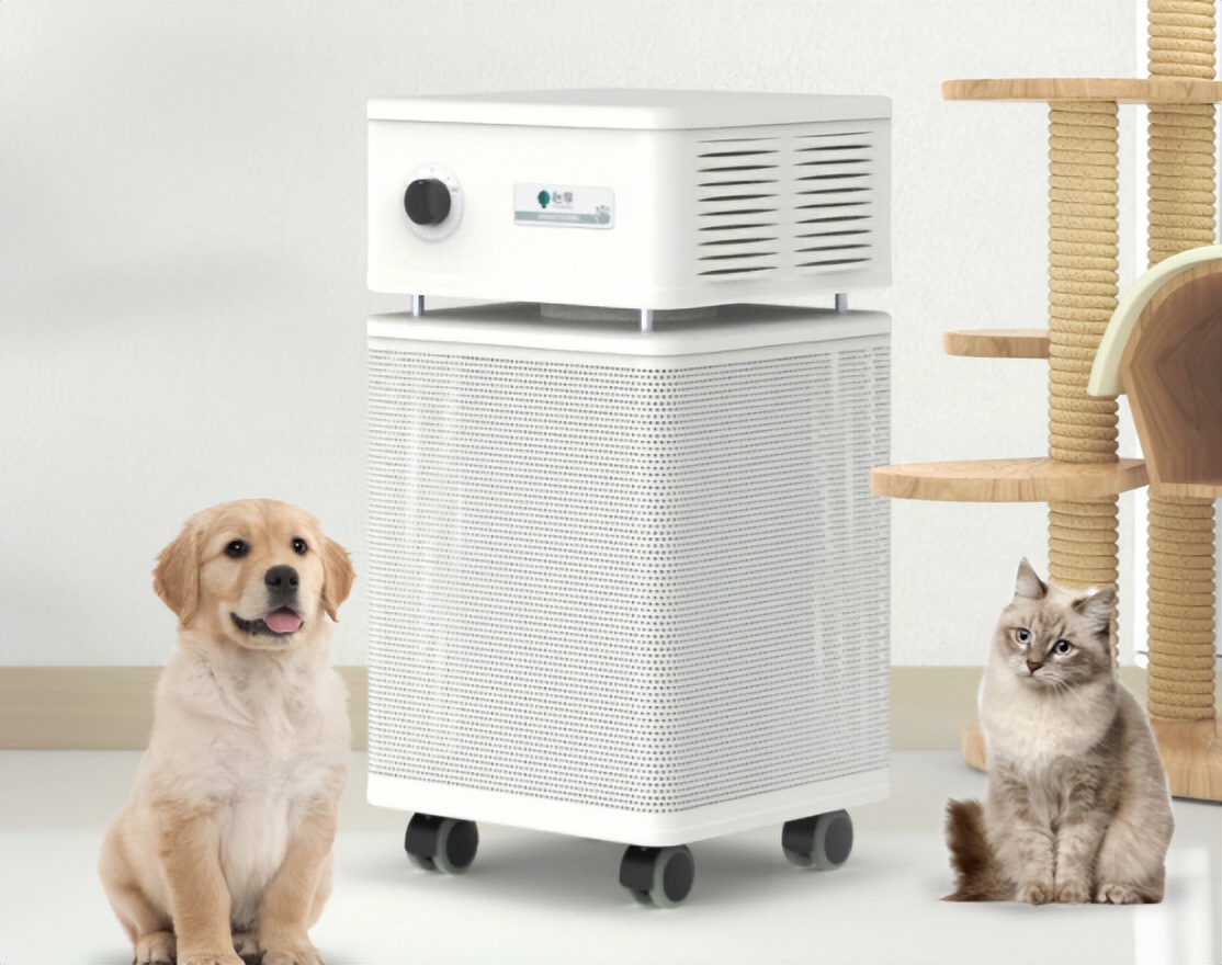 Negative ion air purifier review - iMedia