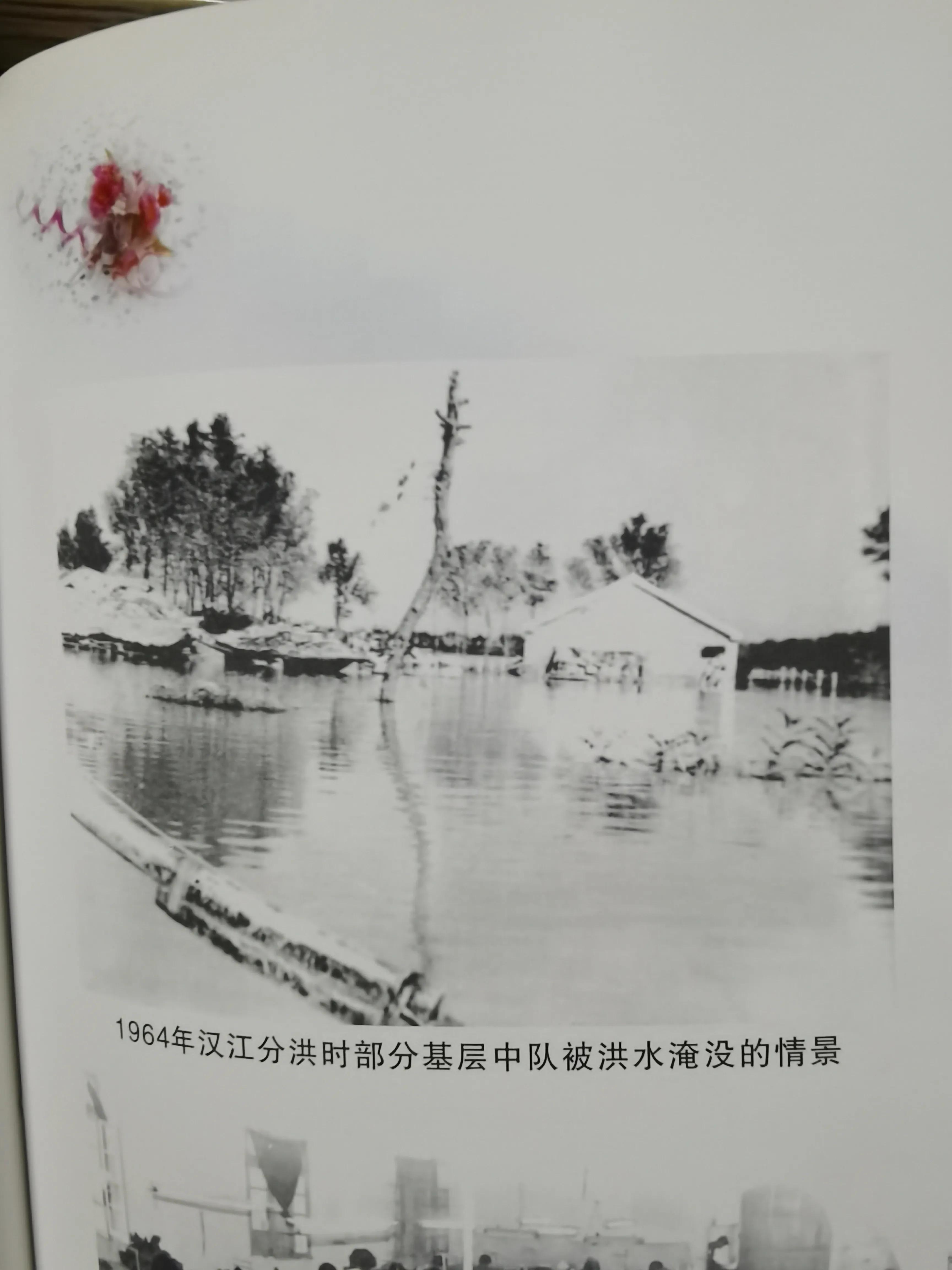 The formation and historical significance of the spirit of Shayang Farm ...