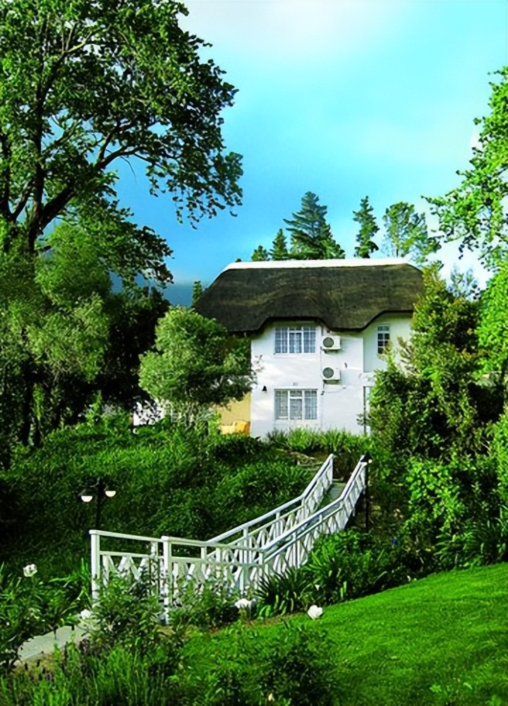 The Painting Art of Holland in Flanders in the 14th Century: The Van ...