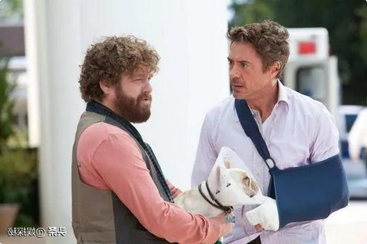 Facts have proved that the comedy and horror elements in "Due Date ...