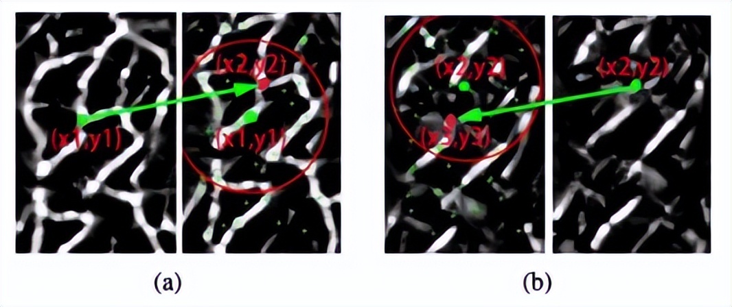 Finger vein recognition with region-based nuance matching - iNEWS