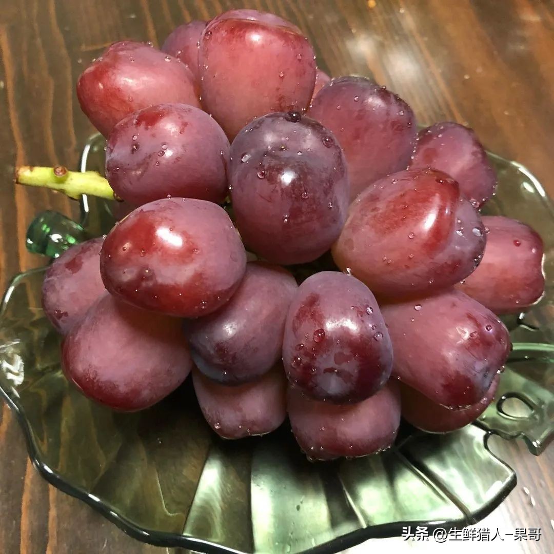 Queen Nina, romantic ruby, romantic red grape, who is the real king - iNEWS