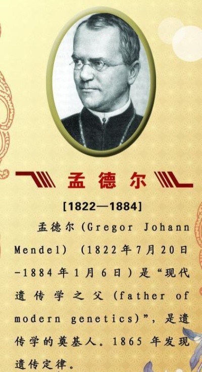 Mendel, the father of modern genetics: How did he persist in studying ...
