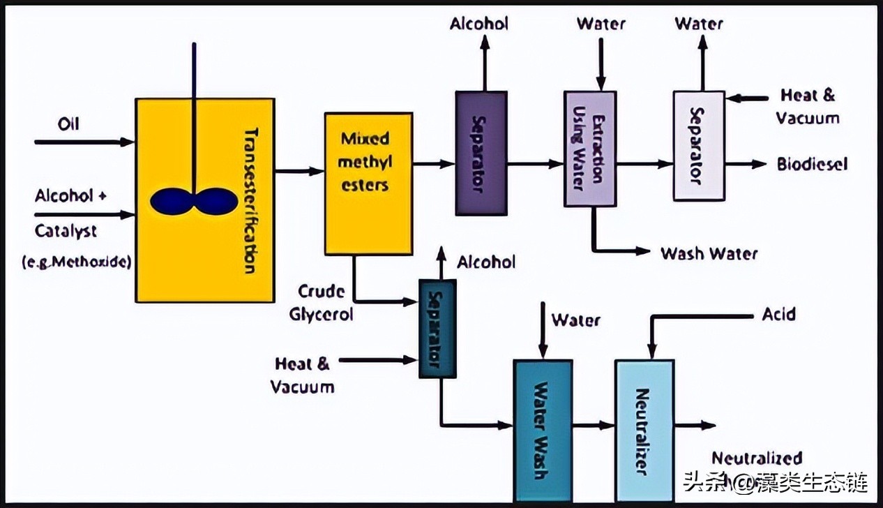 Evolution of biomass and its generations - iMedia