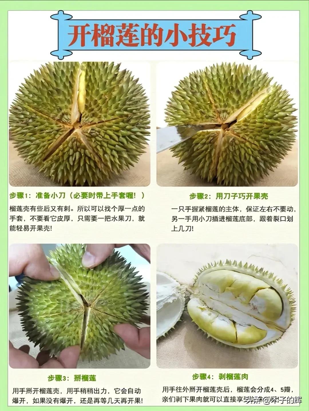 Common Durian Selection Guide - iNEWS