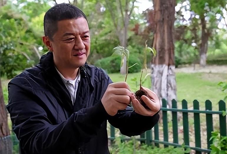 Li Yapeng is really miserable! The courtyard in Beijing was flattened ...