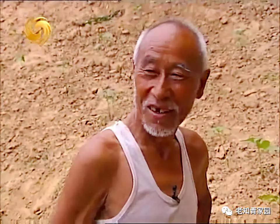The Youth Years in Northern Shaanxi - Deng Tuo's Children Deng Xiaohong ...