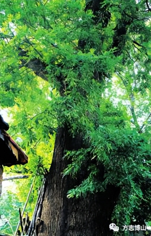 Memories of traditional villages in Boshan - iNEWS