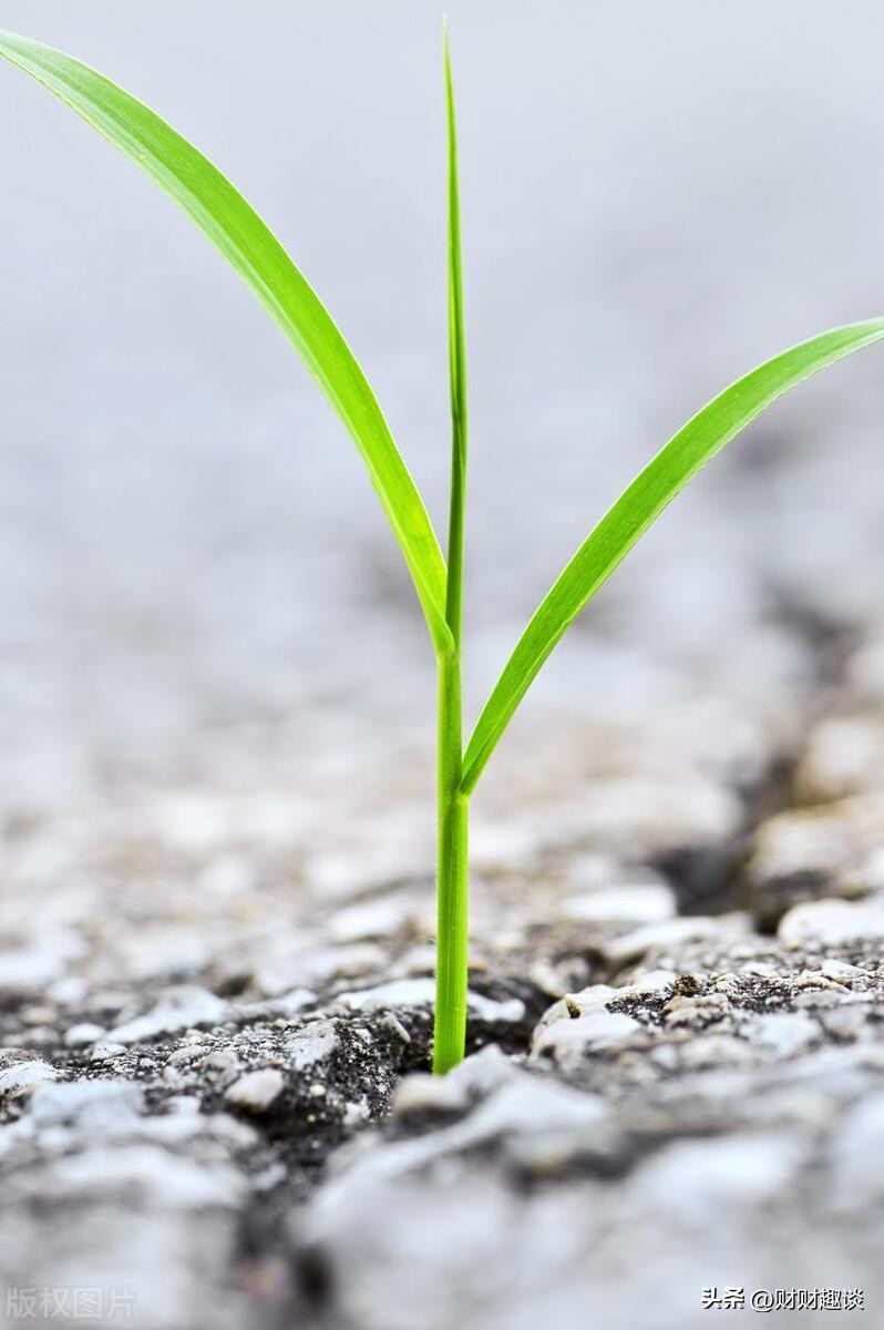 Carbon-Based Life: Miracles on Earth - iNEWS
