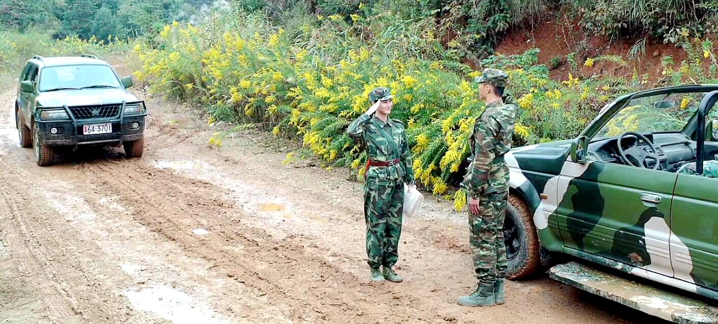 Ace Troop: Han Chunyu is offline!When dying, donate the cornea.Sorghum ...