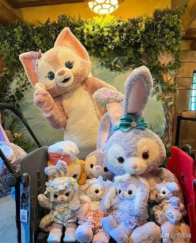 Judging from the logic of "cute IP", the accommodation industry and ...