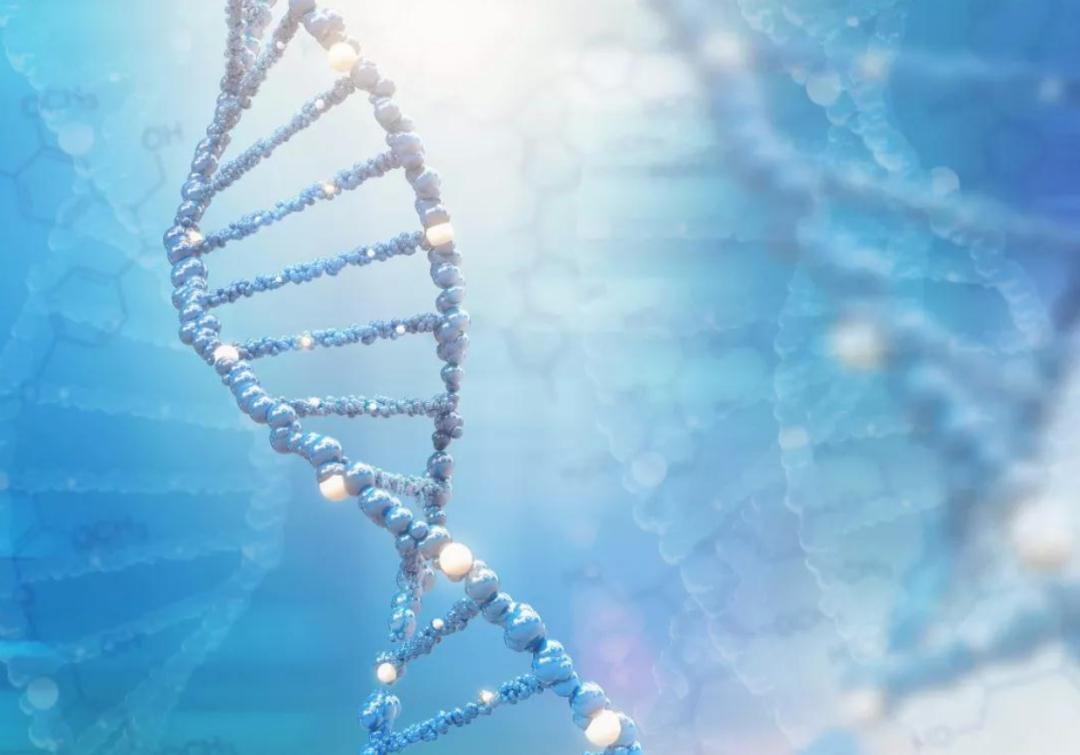 Technology and the future: a new trend led by space breeding - iMedia