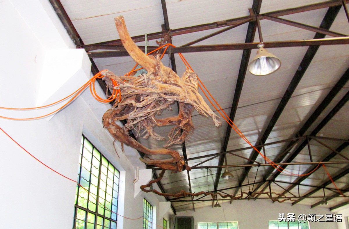 Ninghai Longgong Village, enjoy ice waterfalls in winter and play with ...