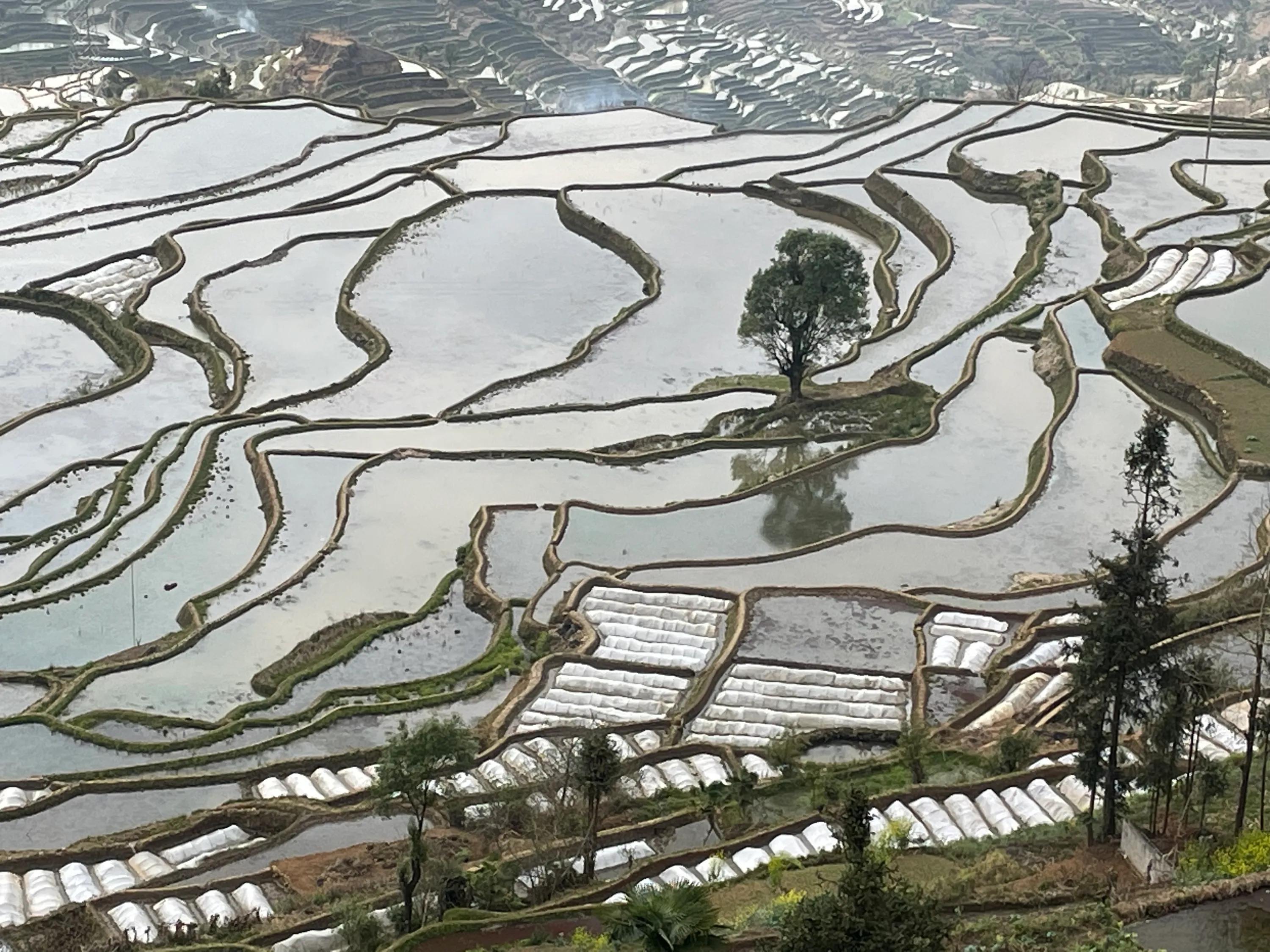 Hani Rice Terraces Tour - iMedia