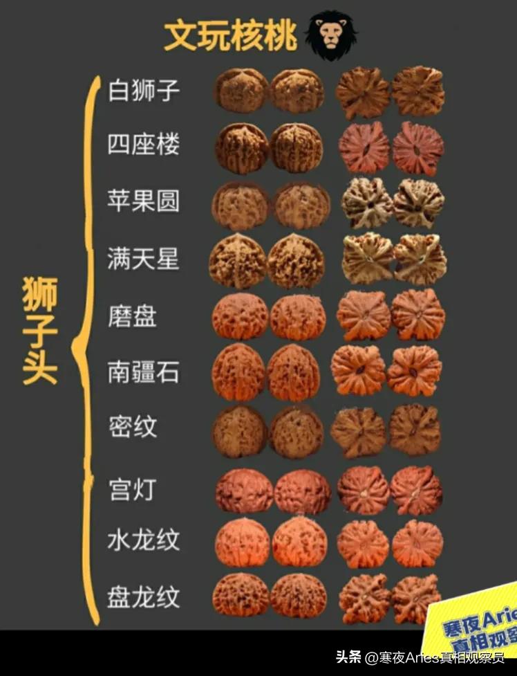 Introduction to Wenwan walnut varieties, introduction to popular ...