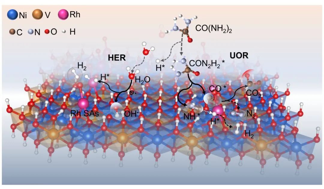 Single-atom active center modulation on layered double hydroxides for ...