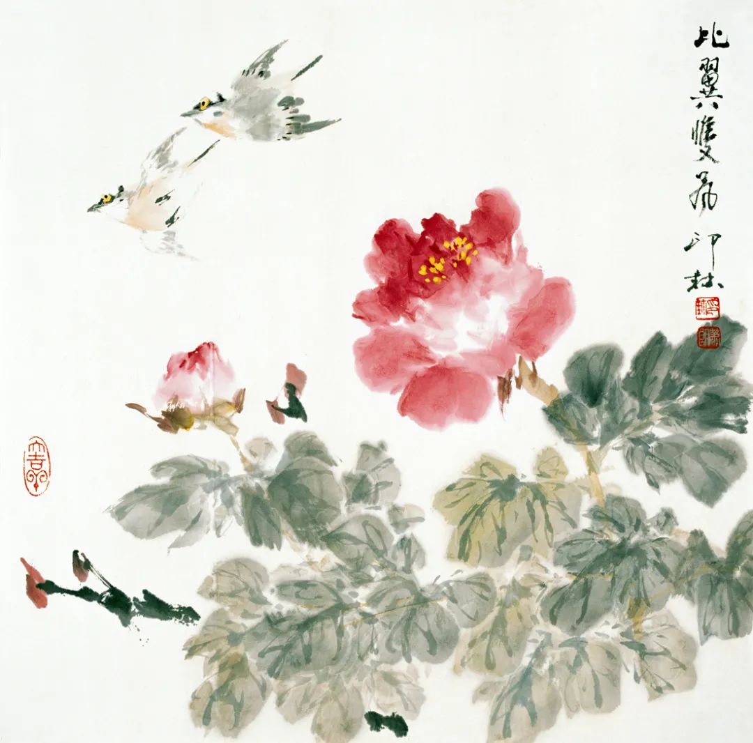 Xiao Lang: Powder is good fortune, pen writing is innocent - iNEWS