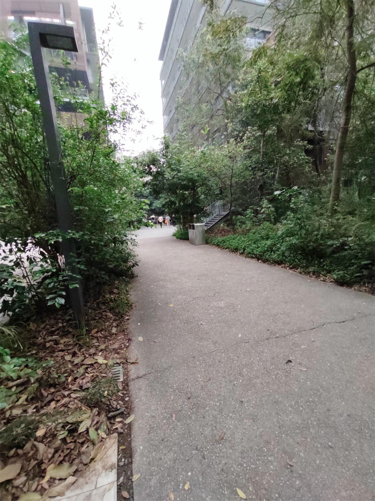 Rejuvenation - My Favorite Movie - iNEWS