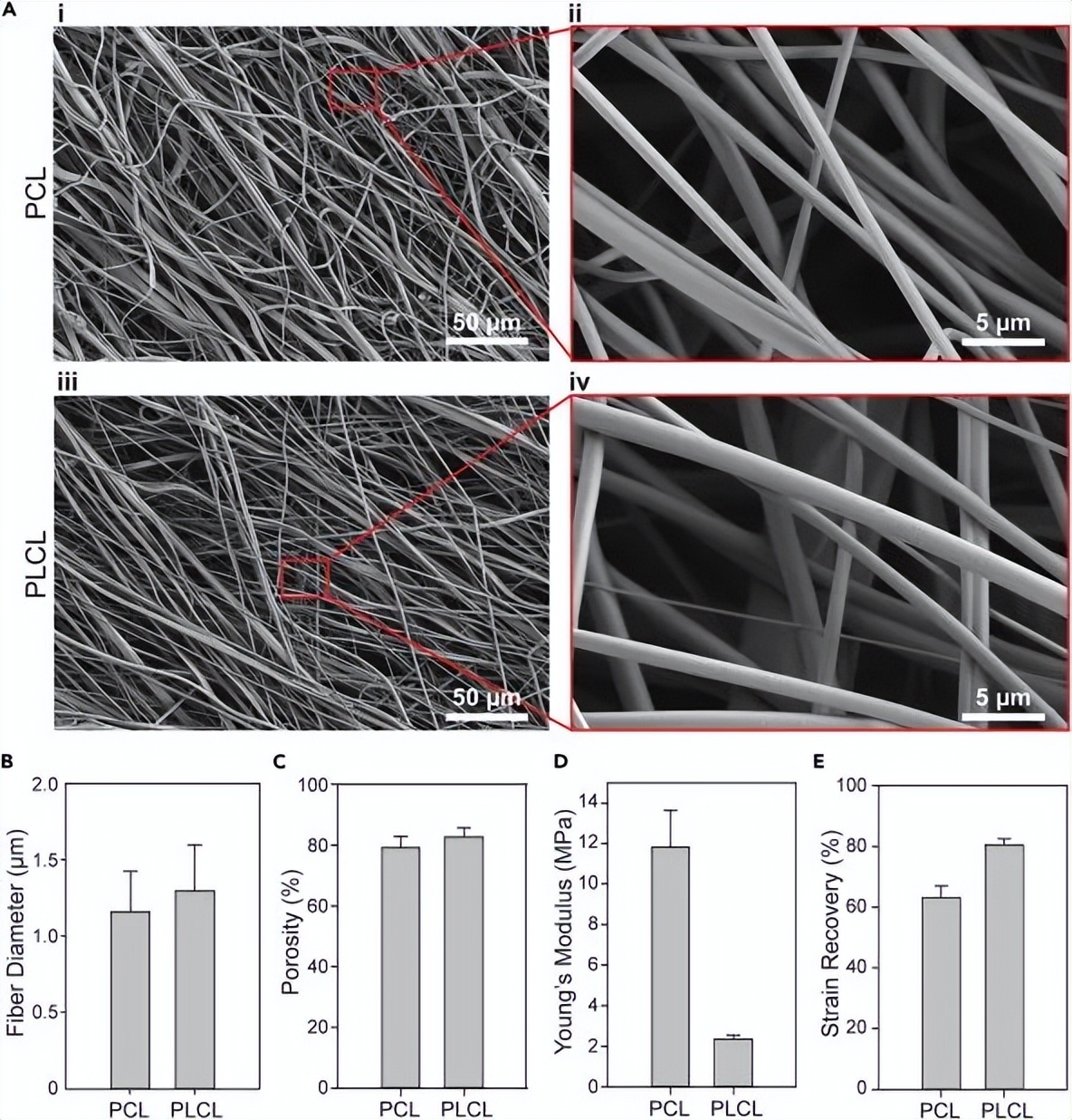 Harvard University's 3D printed synthetic heart valve can grow with ...