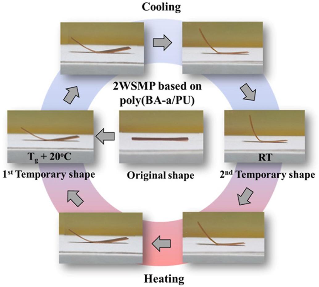 Bidirectional thermally responsive thermosetting shape memory polymer based on benzoxazine ...