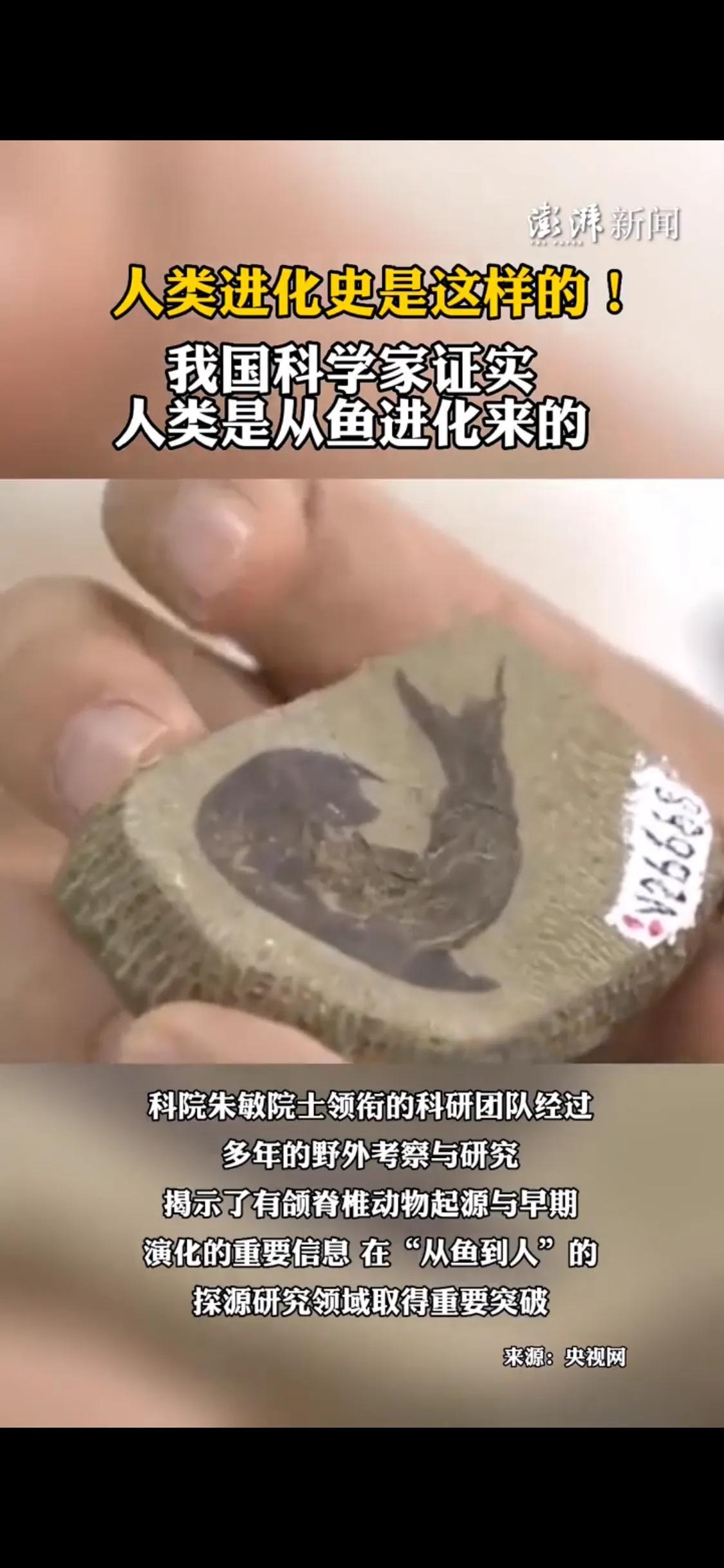 Human ancestors evolved from fish, overthrowing Darwin's theory of ...