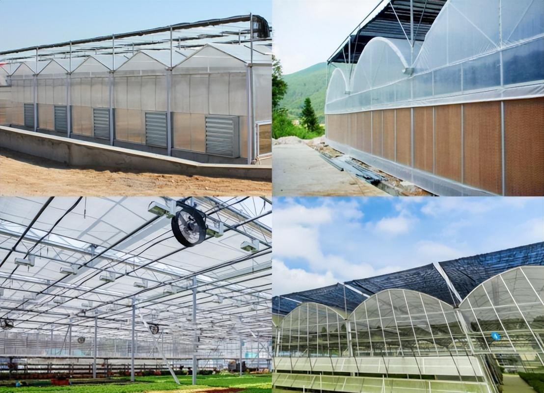 Smart greenhouse control system helps farmers save planting costs - iNEWS