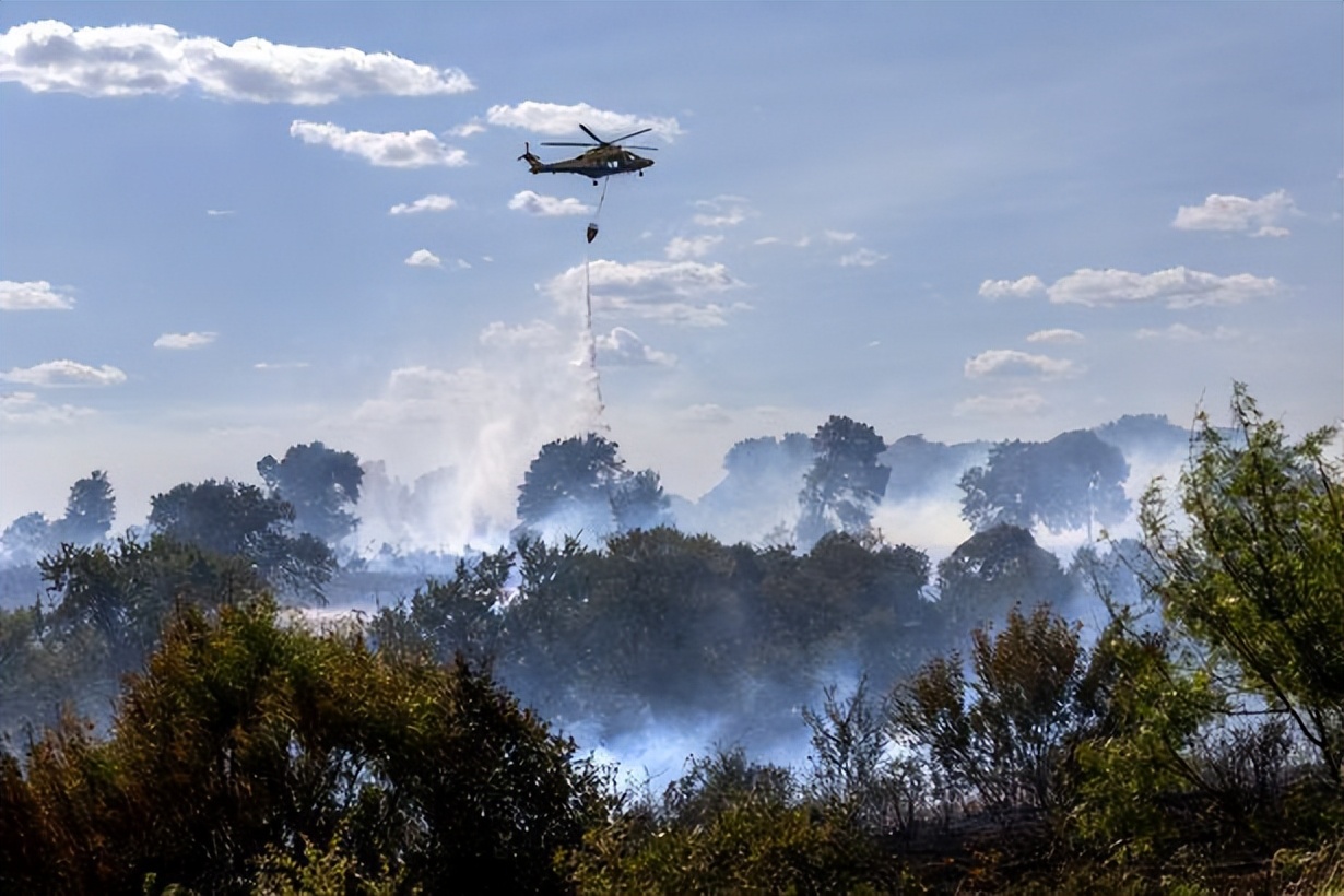 The 200-year-old tree in the United States has "exploded" under the ...