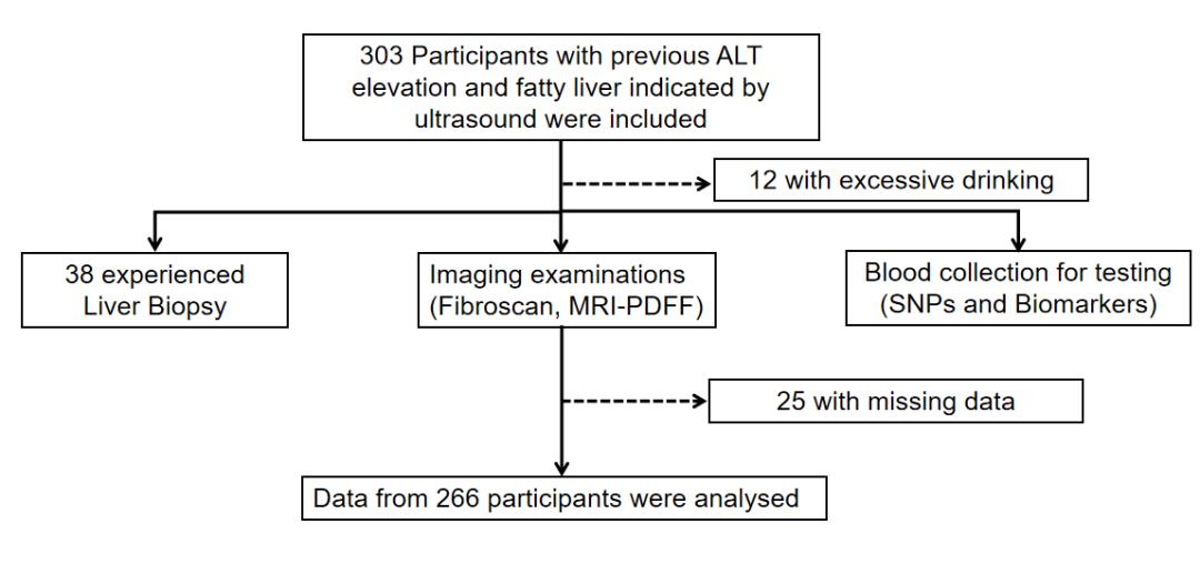 Creating a Noninvasive Prediction Model for NAFLD in China Based on MRI ...