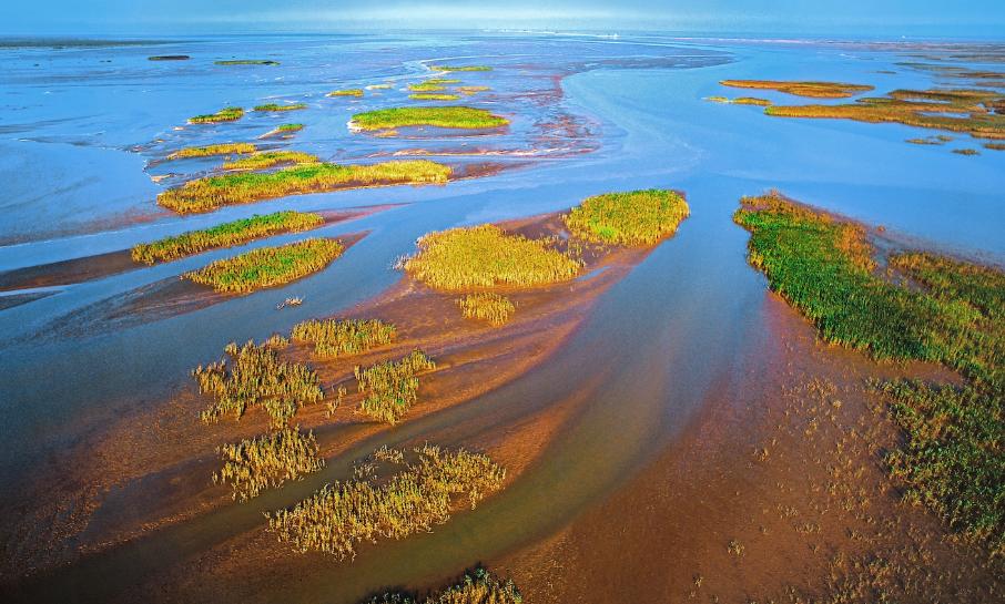 What changes have taken place at the mouth of the Yellow River in the ...