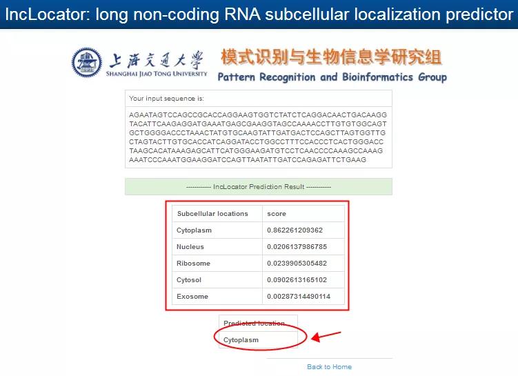 How to predict lncRNA subcellular localization?3 forecasting tools "one ...