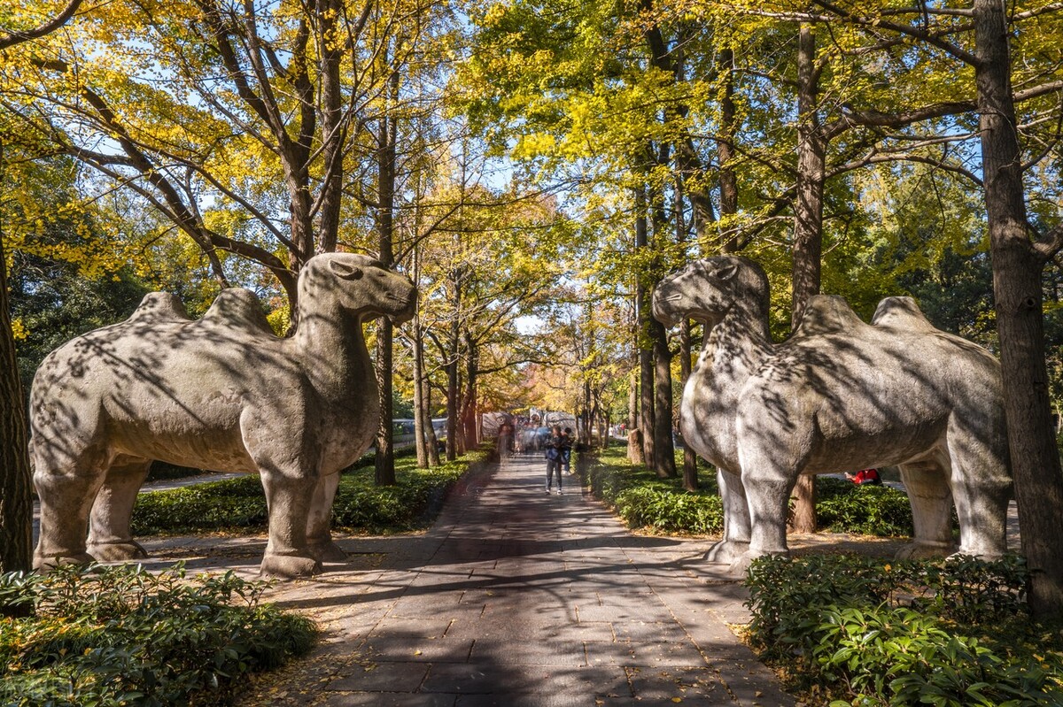 After Chongzhen hanged himself on Meishan, what happened to his ...