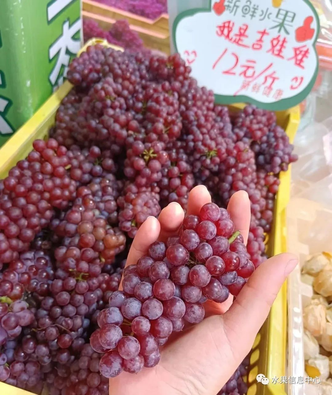 This might be the tiniest grape I've ever eaten - iMedia