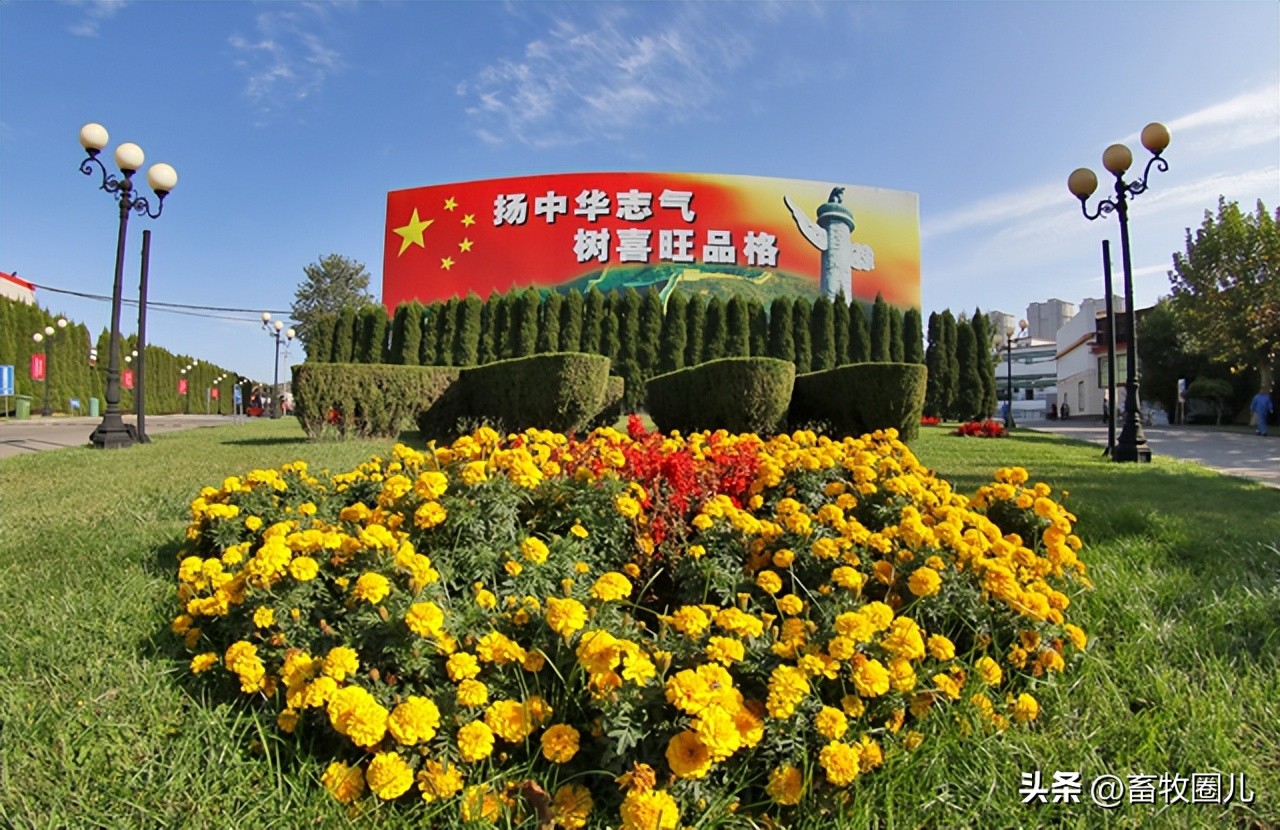 Xiwang—Top 30 Enterprises in China's Meat Industry! - iMedia