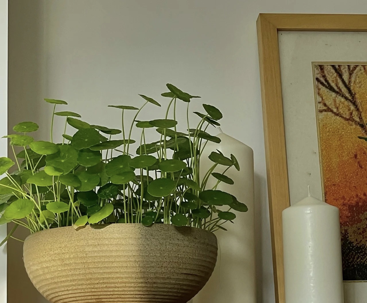 To raise copper money grass, memorize 3 formulas by rote, within 30 ...